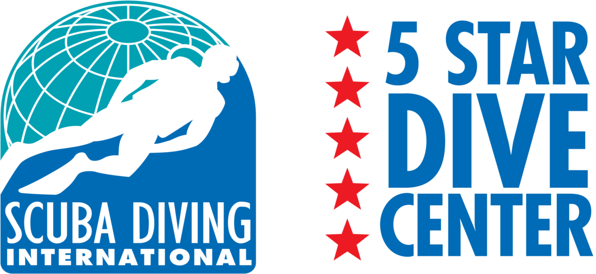 Learn to dive in Mexico » Tank-Ha Dive Center